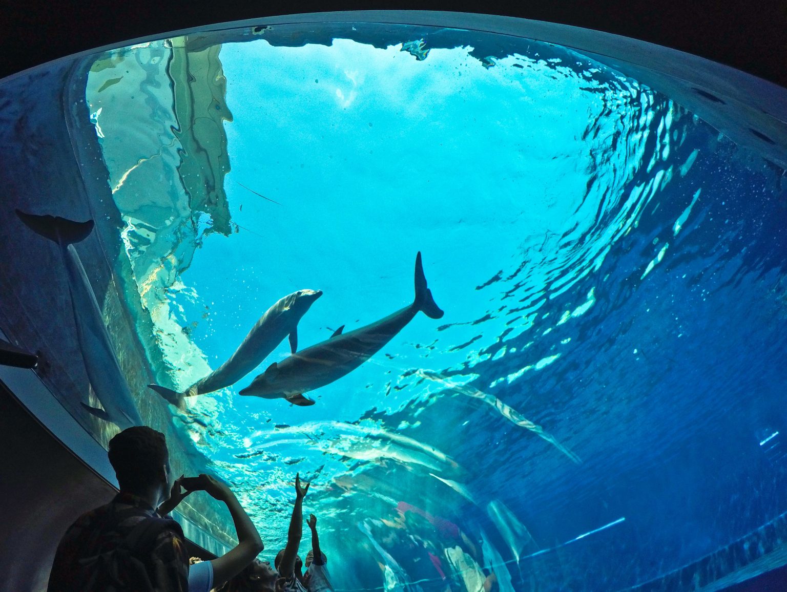 What to Do in Genoa when it Rains: 6 Alternatives - Marina Porto Antico